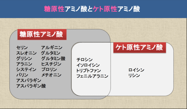 【解決】光合成についてわかりやすく解説してみた