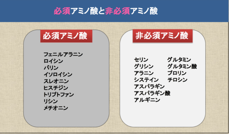 【解決】必須アミノ酸とケト原性アミノ酸の覚え方