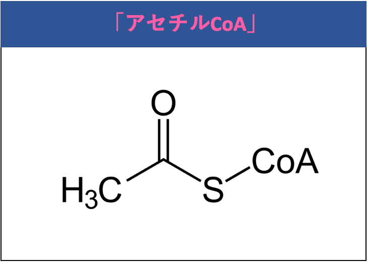 4奇数鎖脂肪酸と不飽和脂肪酸のβ酸化 Bio Science~生化学・分子生物学・栄養学などの 『わかりやすい』まとめサイト~