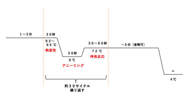 【解決】pcrの原理がよく分かる！pcr法の長所・短所とは