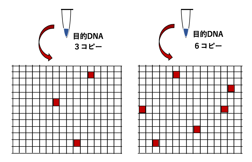 【解決】リアルタイムpcrと従来のpcrの違いとは？