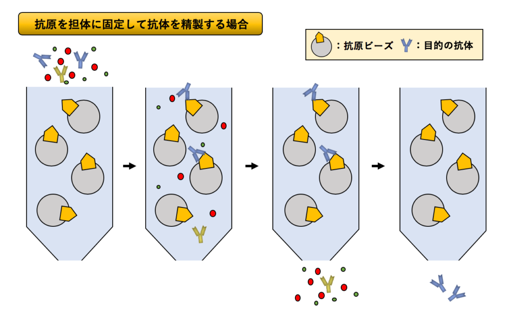 【解決】rt Pcrの原理とrnaの検出