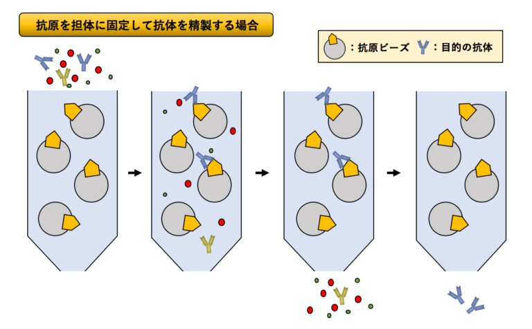 【解決】アガロースゲル電気泳動とsds Pageの違いとは?