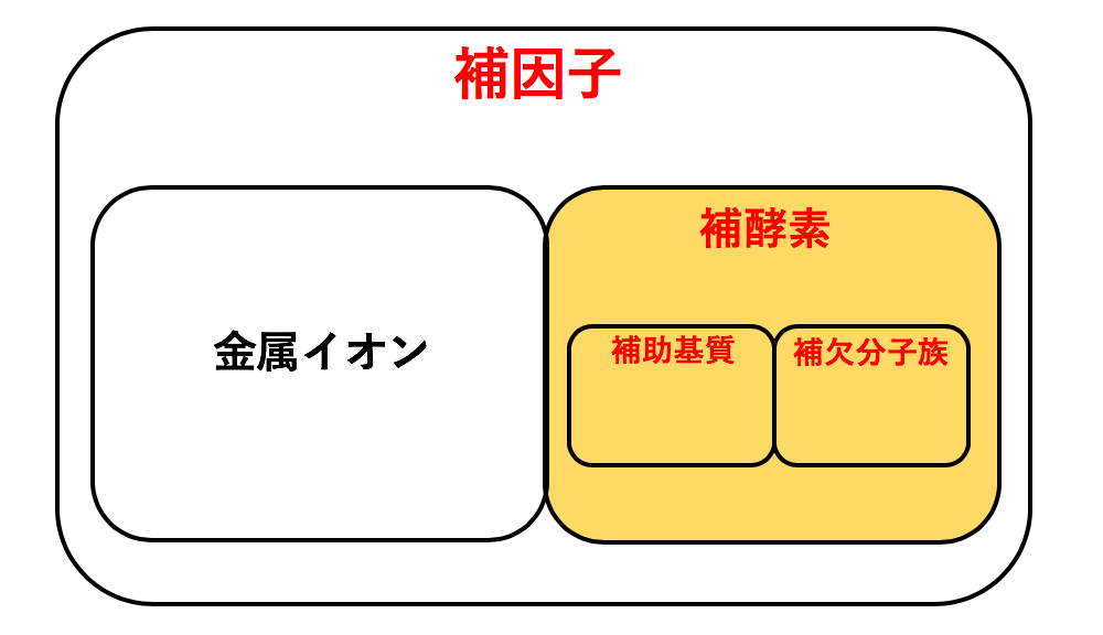 【解決】アポ酵素とホロ酵素の違いとは？｜補因子と補酵素