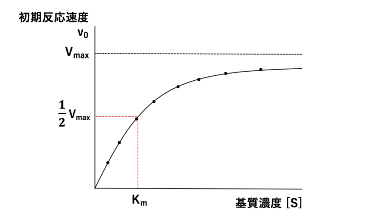 【解決】ミカエリス・メンテン式とKm値とVmax｜kcatの求め方