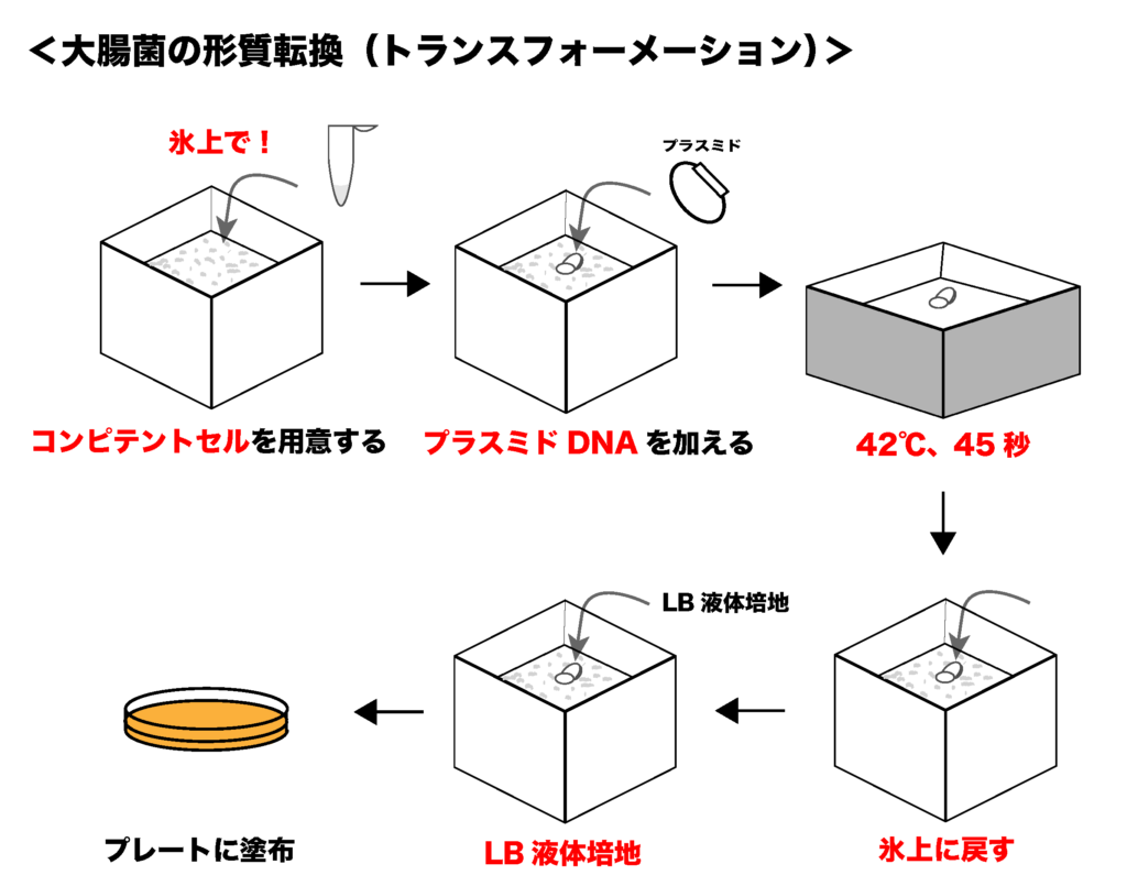 生化学実験手法 Bio Science~生化学・分子生物学・栄養学などの 『わかりやすい』まとめサイト~